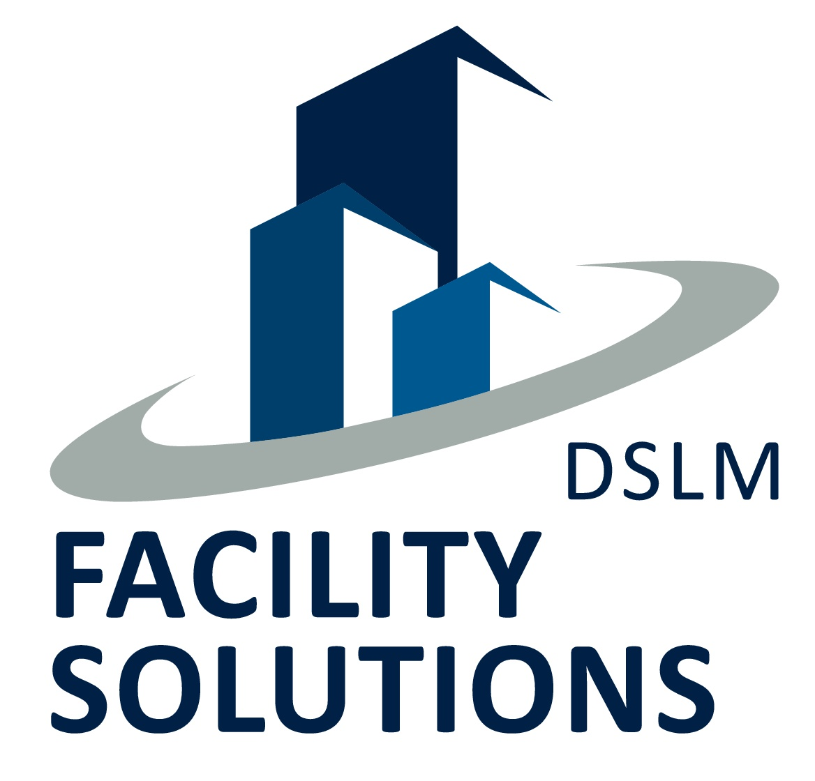 dslm-fs.com